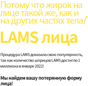 Особый LAMS - 365mc-ru